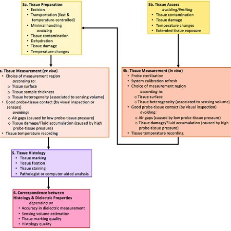 Flow Chart Of The Common Steps To Minimise Tissue Related Errors In In