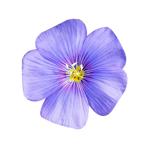 产品介绍 继嘉亚麻