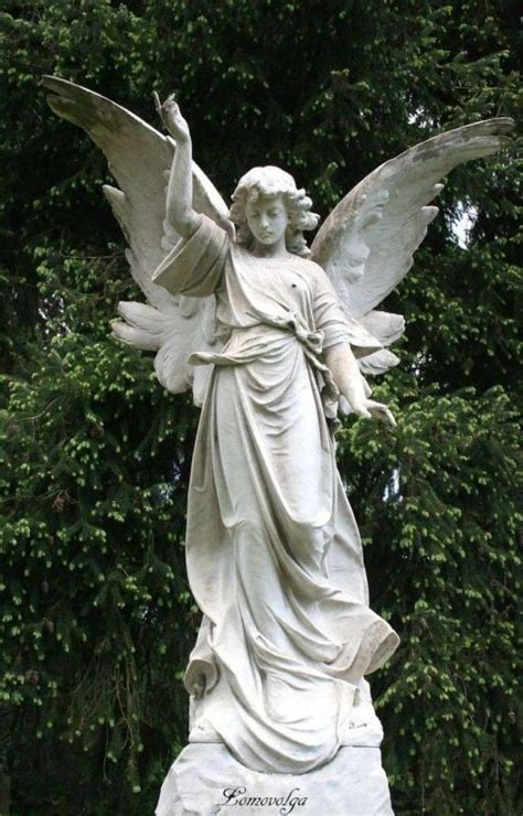 Historias De Alldeku Wattpad