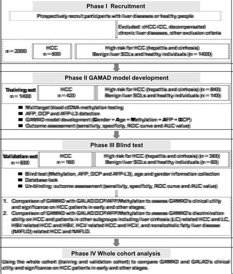 Refinement And Validation Of A Comprehensive Clinical Diagnostic Model Gamad Based On Gender