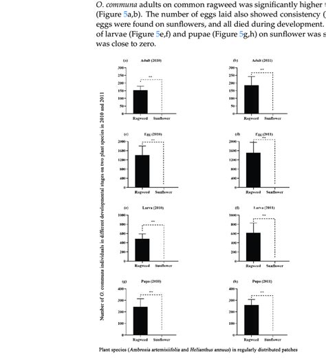 The Number Of O Communa Individuals In Different Developmental Stages Download Scientific