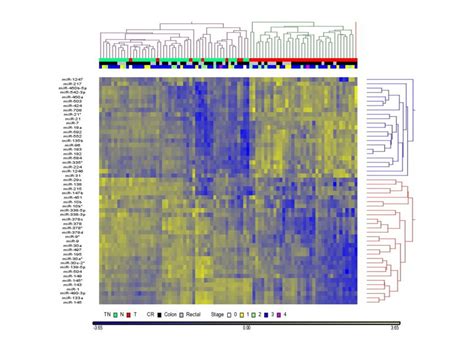 A Bias Reduction Small Rna Deep Sequencing Protocol Reveals Signature
