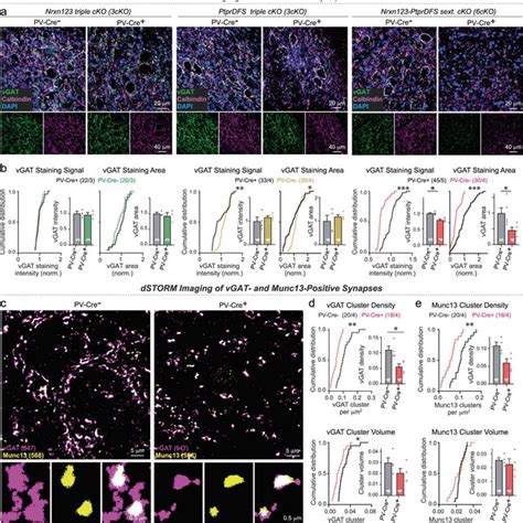 Retrograde Pseudo Rabies Virus Tracing Reveals Major Loss Of Synaptic Download Scientific