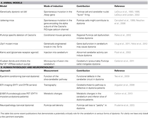 Anatomy Of A Generalized Cell Worksheet Answers Printable Sheet Education