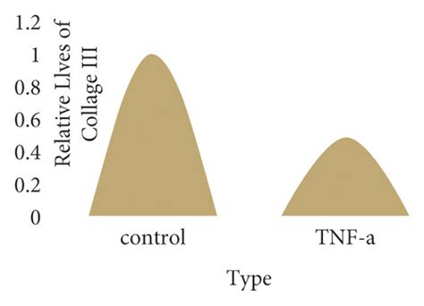 Effect Of Tnf α 10 Ng Ml On The Expression Of Tenocyte Related Genes