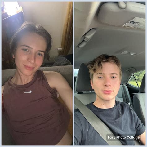 Transition Timelines