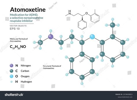 Atomoxetine Structural Chemical Formula 3d Model Stock Vector Royalty