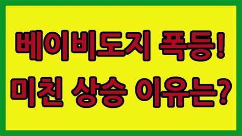 베이비도지코인 전망 가격 폭등 상승 이유는 스테이킹 소각 바이낸스 호재 분석 Youtube