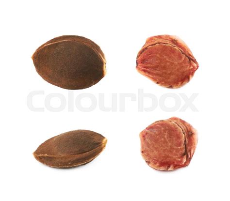 Plum Pit Isolated Over The White Background Set Of Several Colourbox