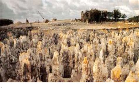 Figure 1 From Nauru Phosphate History And The Resource Curse Narrative