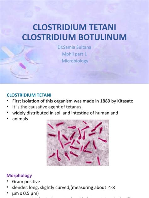 Analysis Of Clostridium Tetani And Its Characteristics As The Causative Agent Of Tetanus Pdf