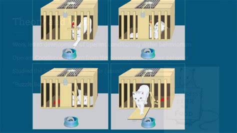 👍 Edward Thorndike Experiment The Law Of Effect In Psychology 2019 02 08