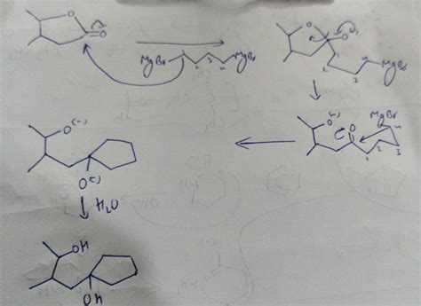 Answered Mgbr Oh 1 Brmg Oh 2 H20 Bartleby