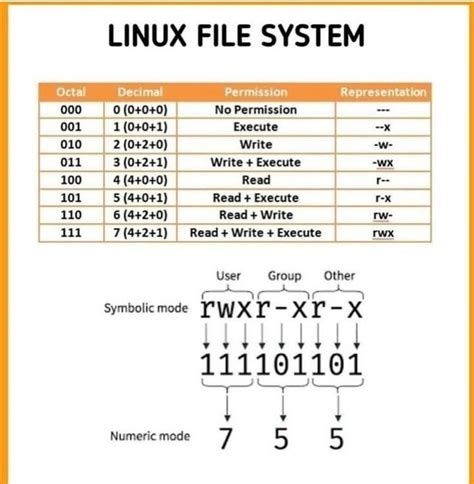 📚 harun tuna 💻 on linkedin if you don t even know the basics of linux