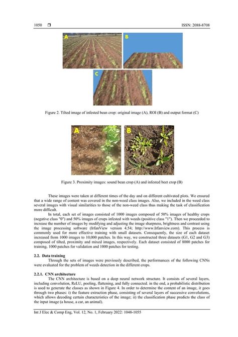 Weeds Detection Efficiency Through Different Convolutional Neural