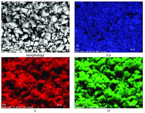 Figure A1 Sem Eds Picture Of Tetragonal Crystals In The Biofilm Download Scientific Diagram
