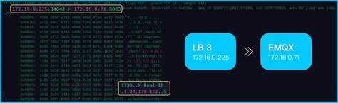 Getting The Clients Real Ip When Using The Nginx Reverse Proxy For