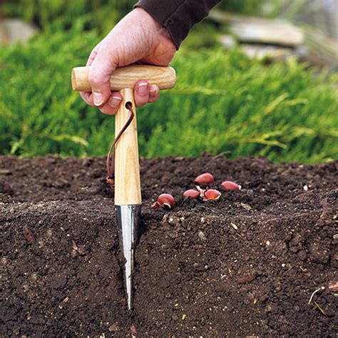 Types Of Bulb Planters Garden Gate