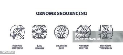 Genome Sequencing Icons Depict Decoding Data Analysis And Precision