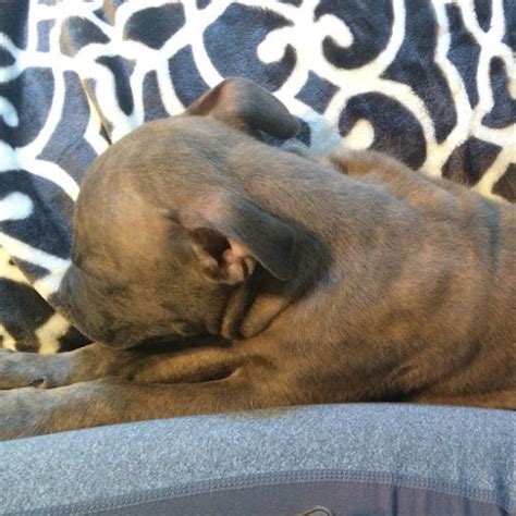 Stream Farrah Joi Music Listen To Songs Albums Playlists For Free On Soundcloud