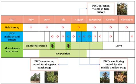 Detection Of The Monitoring Window For Pine Wilt Disease Using Multi Temporal Uav Based