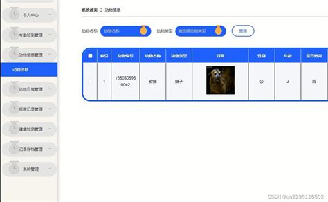 Vue Springboot基于javaweb的宠物店兽医站管理系统基于java Web的宠物店管理系统设计 Csdn博客