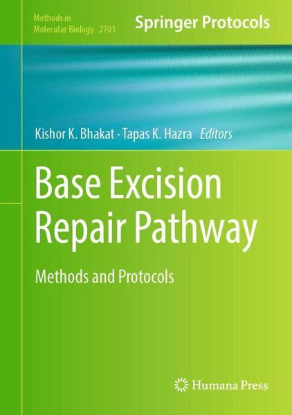 Base Excision Repair Pathway Fachbuch Bücherde
