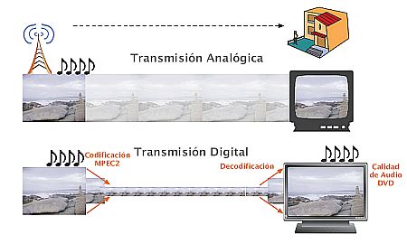 Tipos De Redes Señales Analógicas Y Digitales