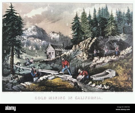 Gold Mining In California Scenes Of The 1849 Californian Gold Rush