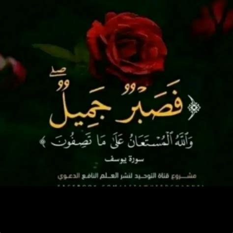 Hadeya Mahmode Youtube