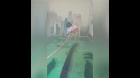 Glass Dijain Youtube