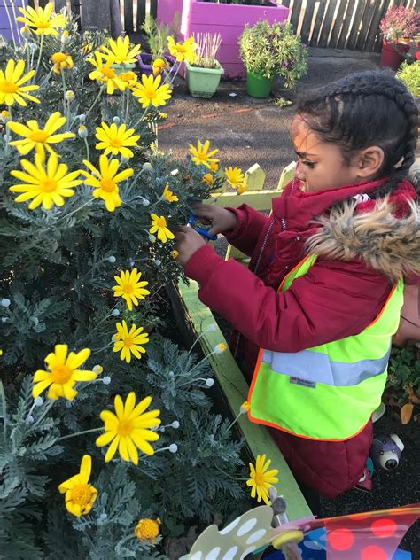 Bannockburn Primary 2019