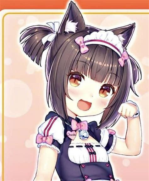 Daily Chocola 74 Rnekoparagame