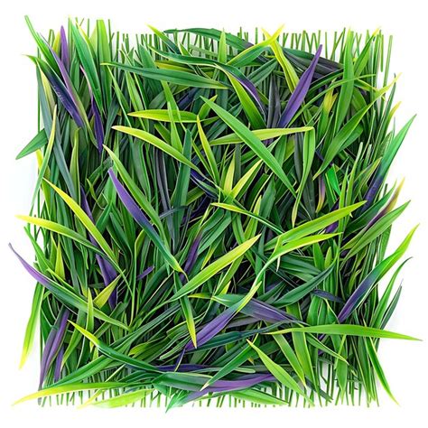 Bluebunch Wheatgrass Lush Green Grass With Yellow Dragonflie Fresh Green Grass Textures For