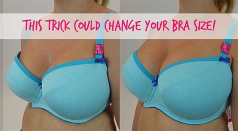 28j Breasts