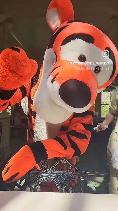 The Crystal Palace At Magic Kingdom Character Meal Youtube