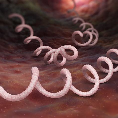 Simplified Cdc Std Report 2018 19 All You Need To Know Std Testing