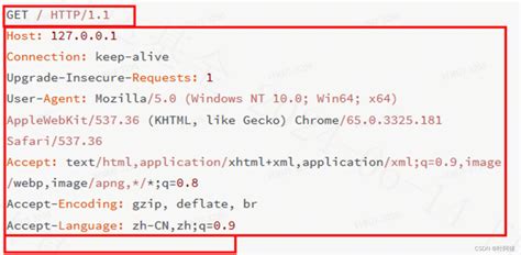 【学习笔记】透视协议（七）：报文详解报文头和报文体 Csdn博客