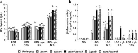 Effect Of Deletions Of Crea Pkaa And Ganb On Growth And The