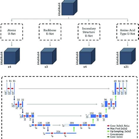 Architecture Of Tailored Convolutional Neural Network Top Shows Download Scientific Diagram