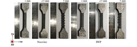 Macrophotographs Of Co Cr Mo Tpms Sheet Lattice Specimens With Various Download Scientific Macrophotographs Of Co Cr Mo Tpms Sheet Lattice Specimens With Various Download Scientific