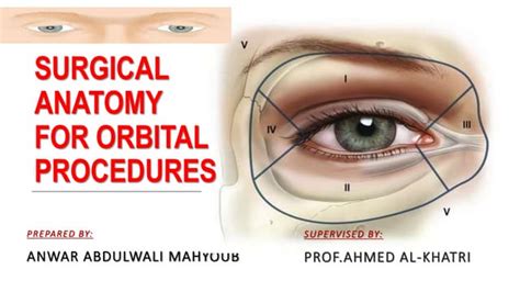 Surgical Anatomy For Orbital Procedures Pptx