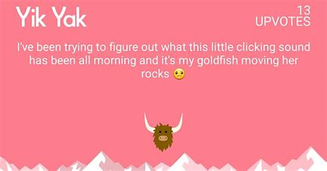 Thats One Bored Fish Imgur