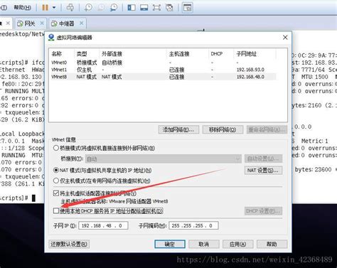 linux中dhcp服务器环境搭建 linuxdhcp服务器搭建实验报告 csdn博客