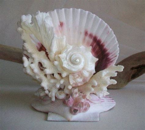 Coastal Decor Seashells Artofit