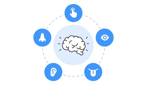 Multi Sensory Design Uxcel