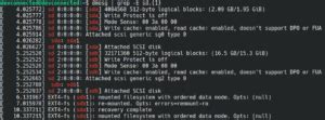 Find Text In Files On Linux Using Grep Devconnected