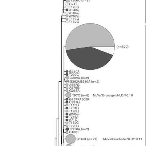 Upgma Unweighted Pair Group Method With Arithmetic Mean Tree Based On