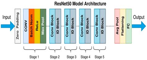 Applied Sciences Free Full Text Skin Lesion Classification Using A Deep Ensemble Model