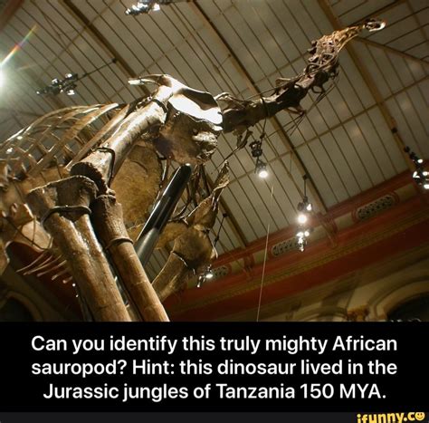 Can You Identify This Truly Mighty African Sauropod Hint This